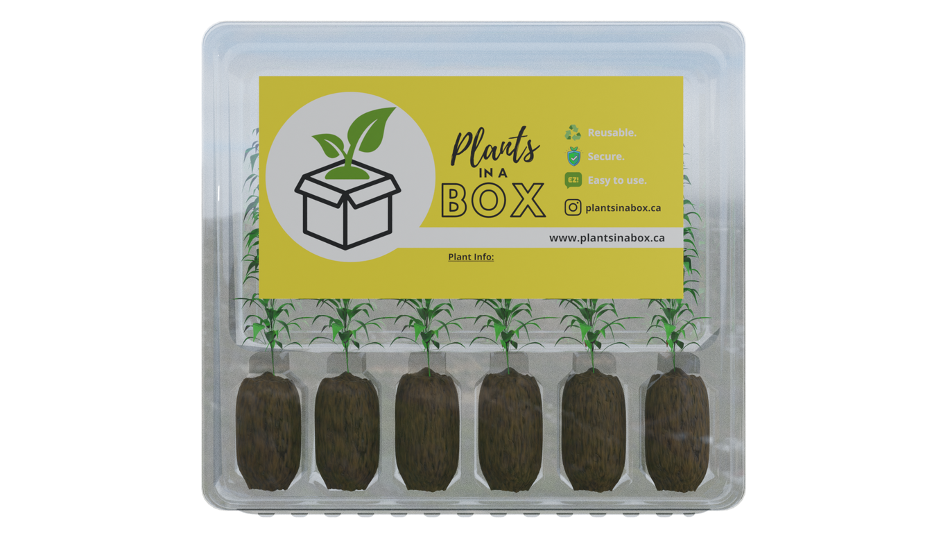 Shipping Box for Plants | Reusable Pots | Plant Boxes – PlantsInABox