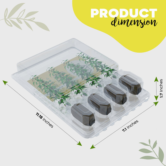 4 Plants Multi Pack Shipping Box for Plants | Live Plant Shipping Boxes ...