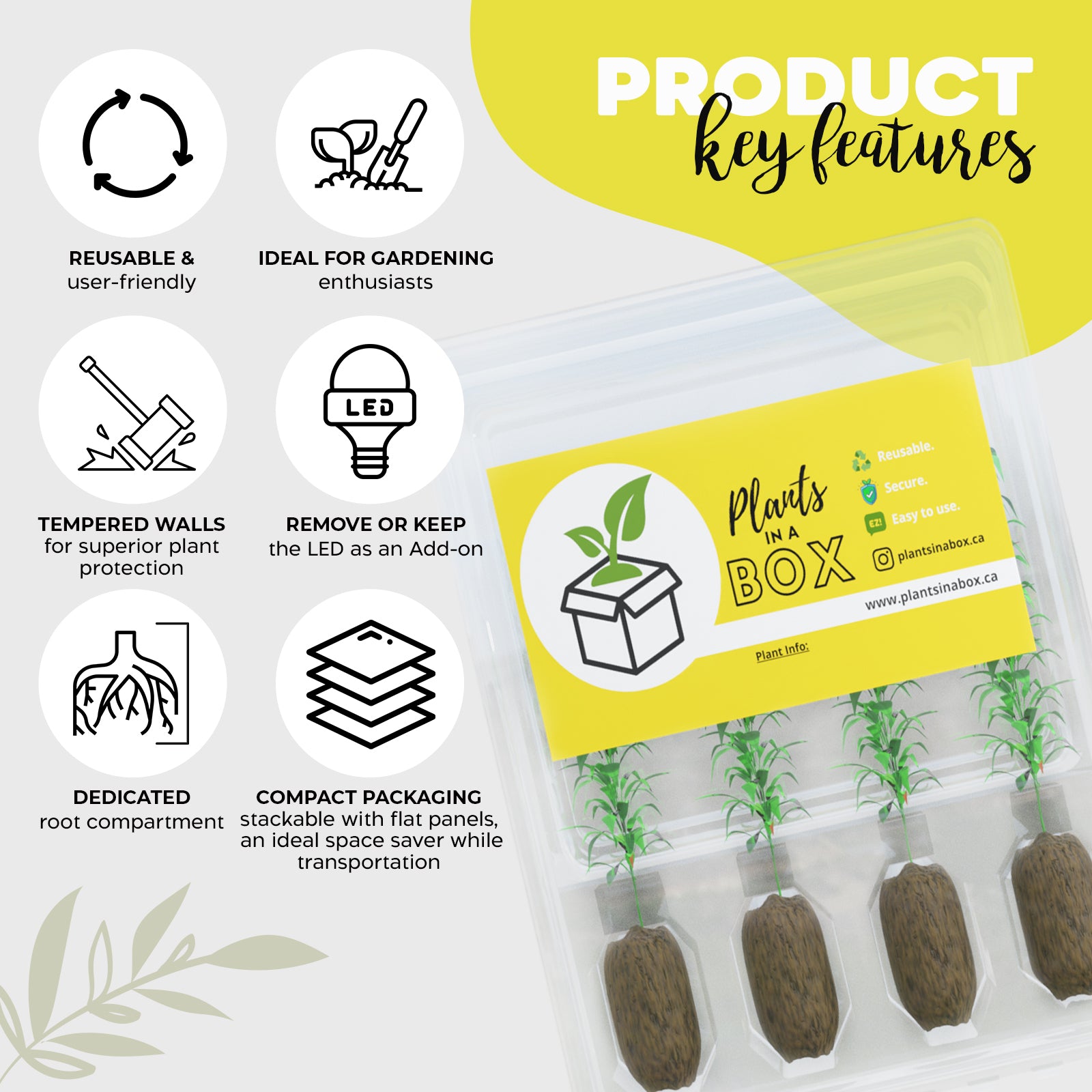 4 Plants Multi Pack Shipping Box for Plants | Live Plant Shipping Boxes ...