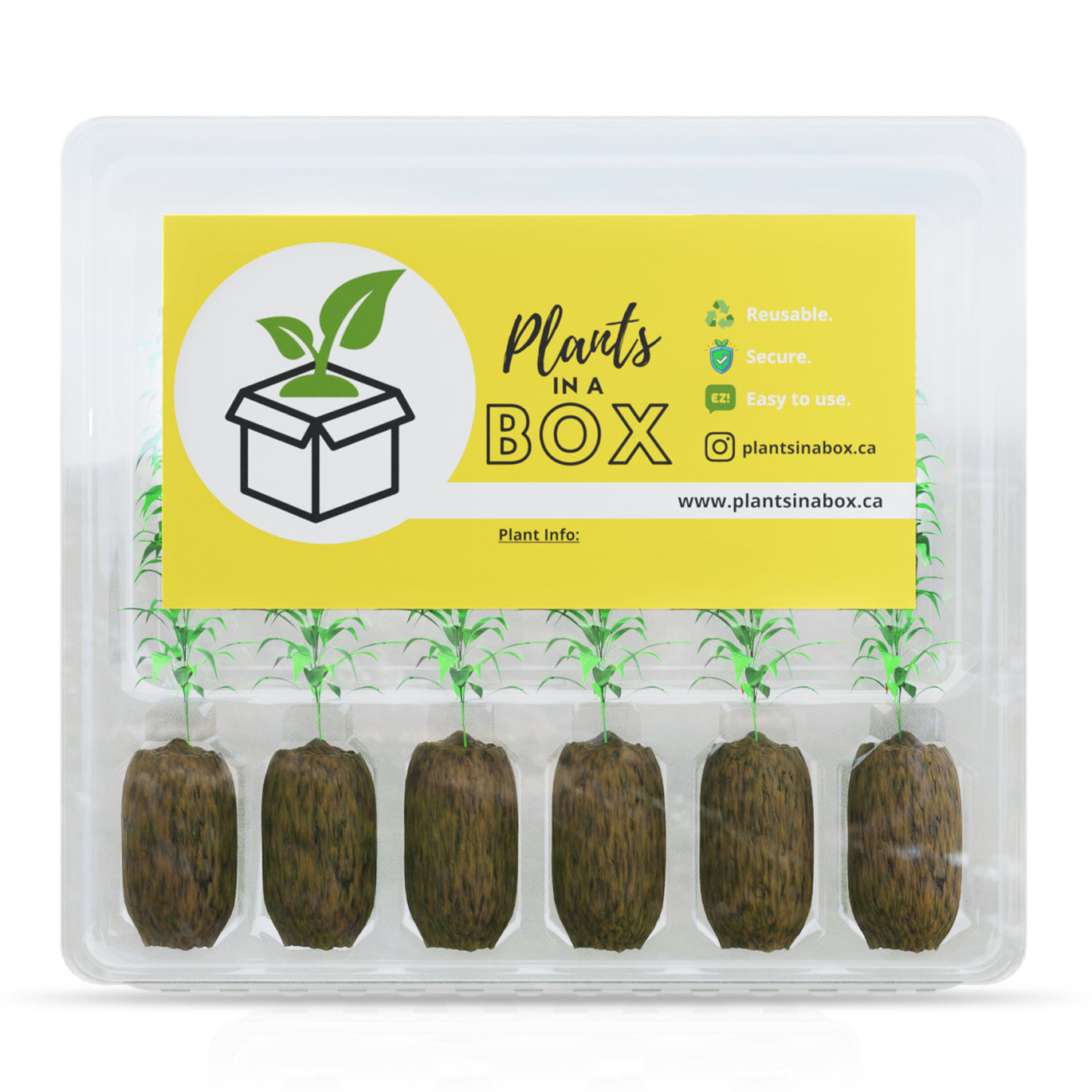 6 Plants Multi Pack Shipping Box for Plants | Live Plant Shipping Boxes ...