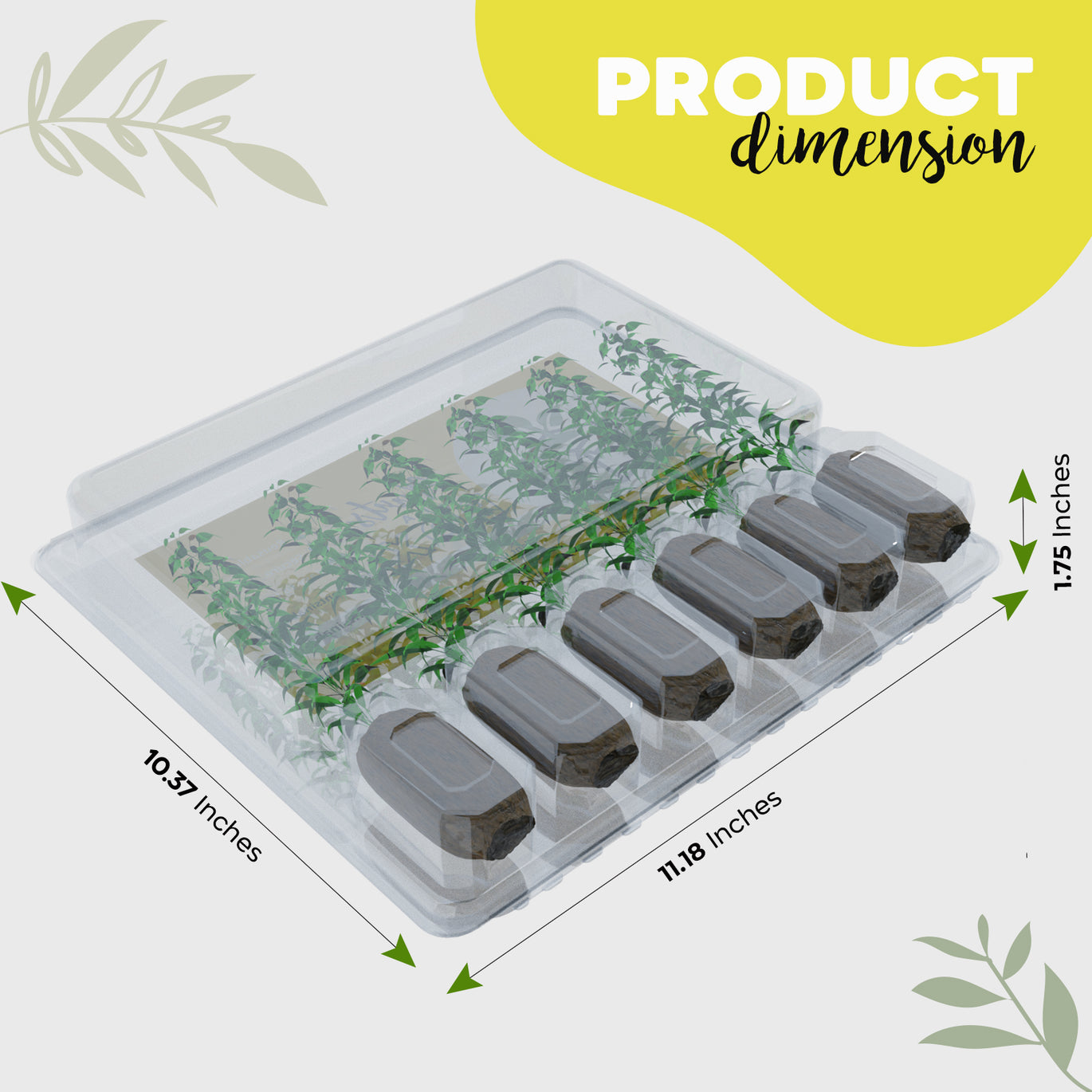 6 Plants Multi Pack Shipping Box for Plants | Live Plant Shipping Boxes ...