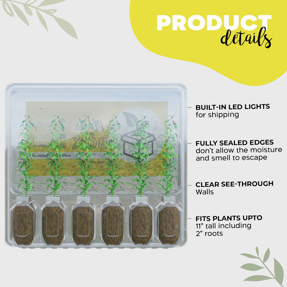 6 Plants Multi Pack Shipping Box for Plants | Live Plant Shipping Boxes ...