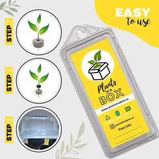 Live Plant Shipping Boxes | Reusable Pots | Clone Shipper | Plants In A ...