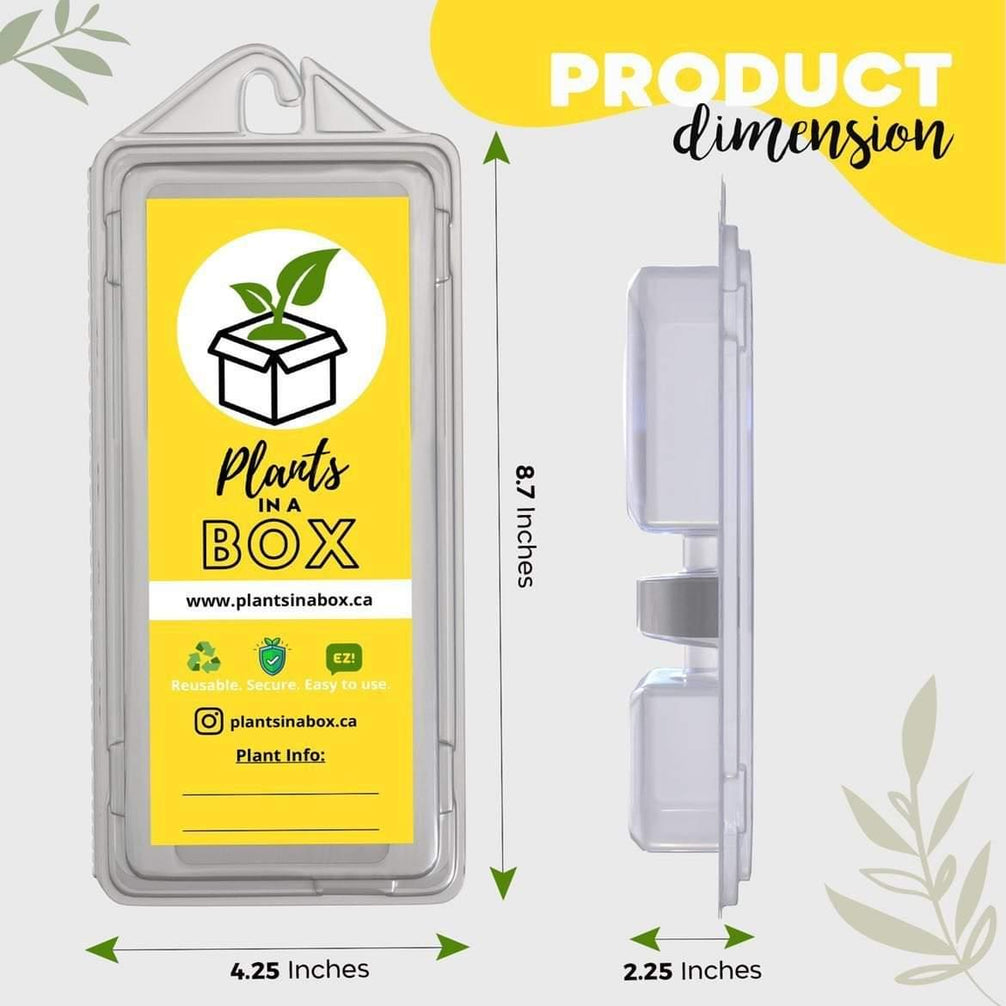 Shipping Box for Plants | Live Plant Shipping Boxes | Clone Shipper ...