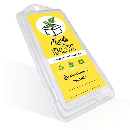 Shipping Box for Plants | Live Plant Shipping Boxes | Clone Shipper ...