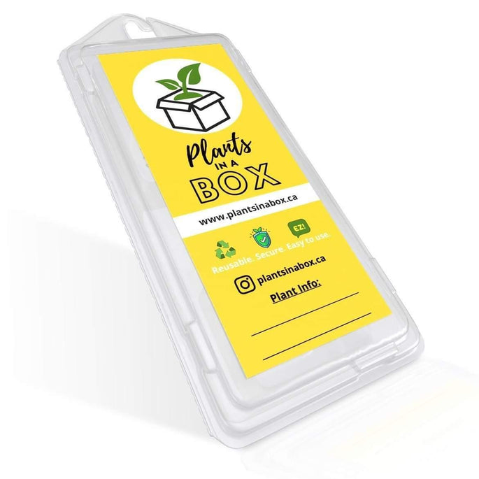 Shipping Box for Plants | Live Plant Shipping Boxes | Clone Shipper ...